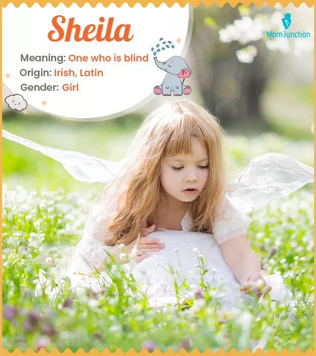 Sheila Name Meaning, Origin, History, And Popularity | MomJunction