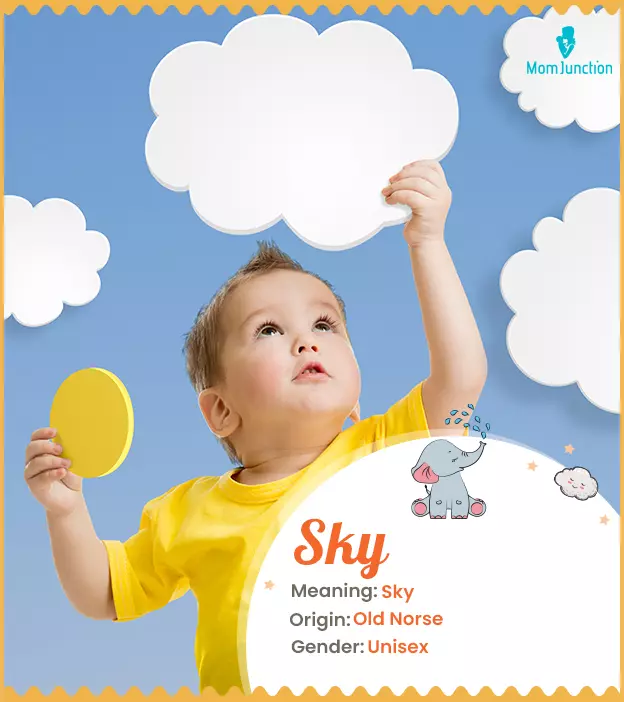 Sky Name Meaning, Origin, History, And Popularity | MomJunction