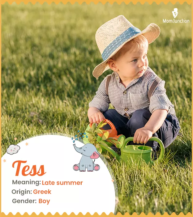 Tess Name Meaning, Origin, History, And Popularity | MomJunction