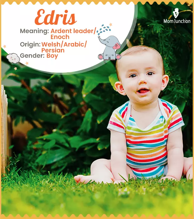 Edris Name Meaning, Origin, History, And Popularity | MomJunction