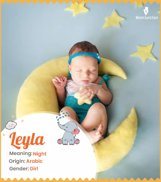 Leyla Name Meaning, Origin, History, And Popularity | MomJunction