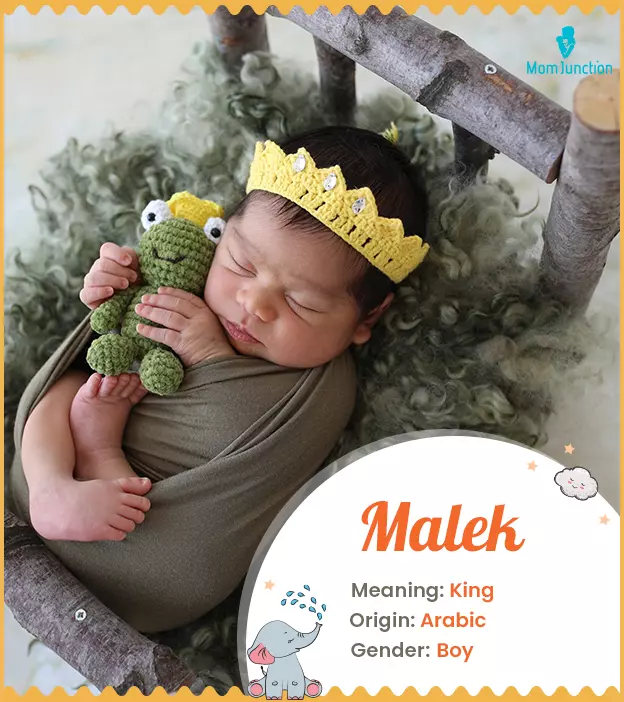Malek Name Meaning, Origin, History, And Popularity | MomJunction