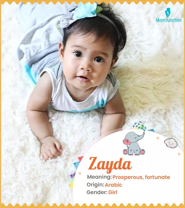 Zayda Name Meaning, Origin, History, And Popularity | MomJunction