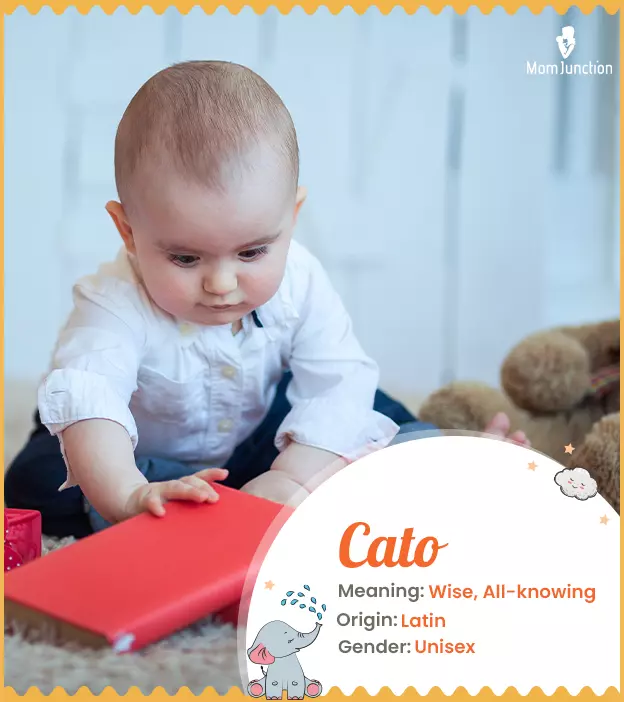 Cato Name Meaning, Origin, History, And Popularity | MomJunction