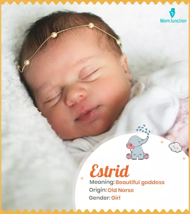Estrid Name Meaning, Origin, History, And Popularity | MomJunction