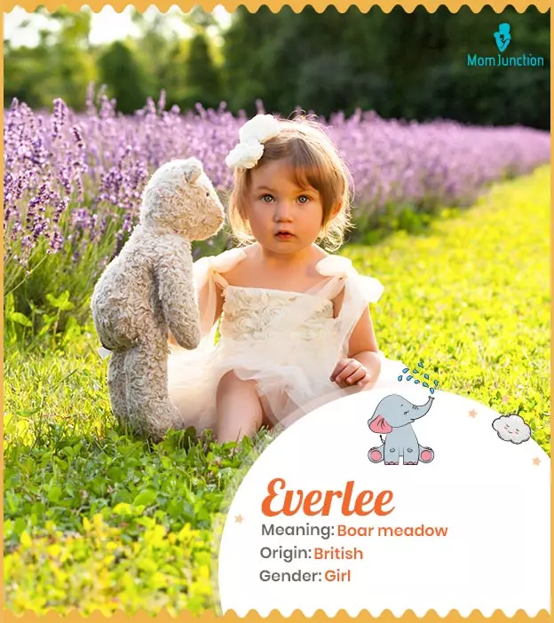 Everlee Name Meaning, Origin, History, And Popularity | MomJunction