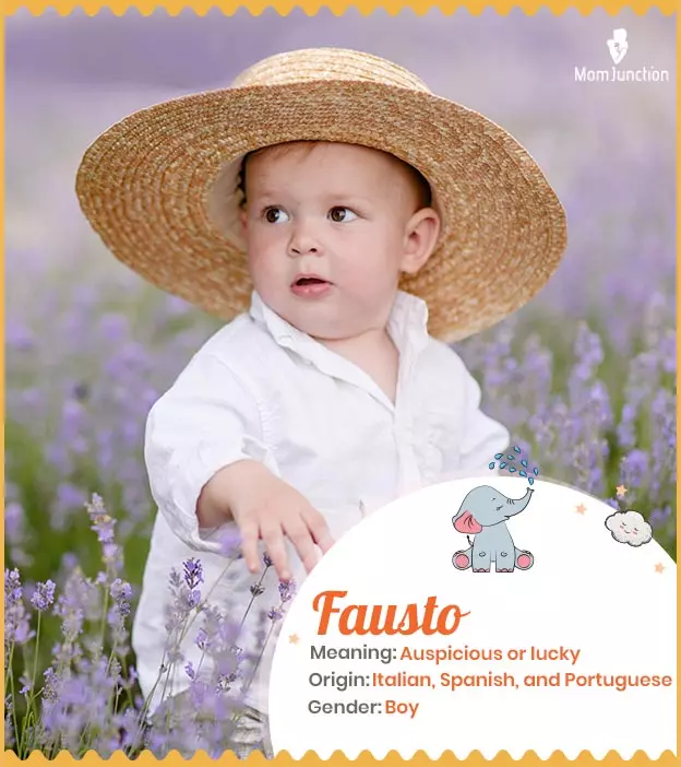 Fausto Name Meaning, Origin, History, And Popularity | MomJunction