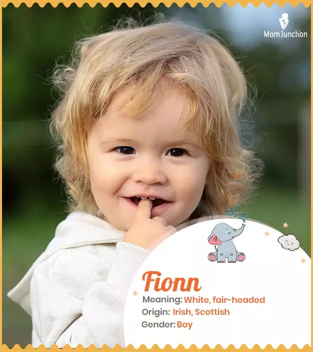 Fionn Name, Meaning, Origin, History, And Popularity | MomJunction