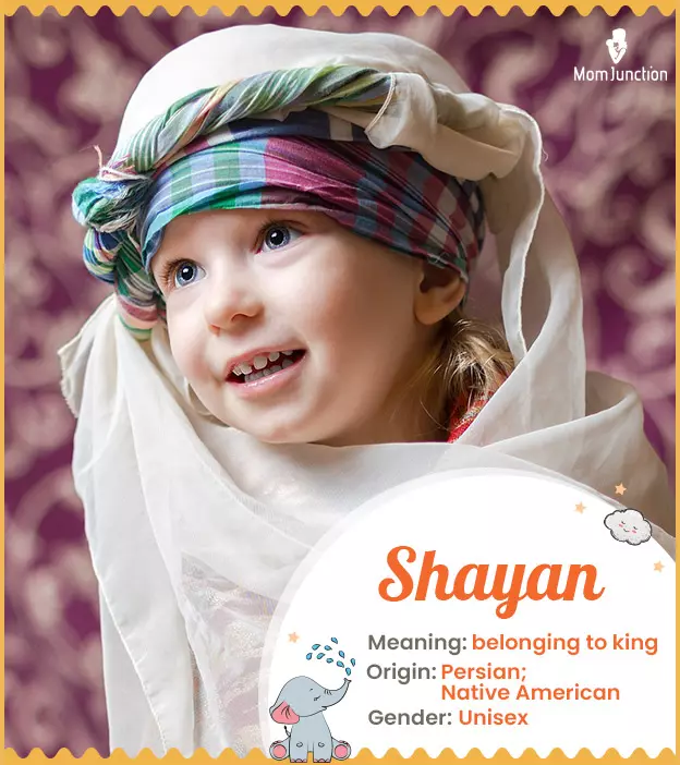 Shayan Name, Meaning, Origin, History, And Popularity | MomJunction