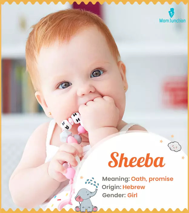Sheeba Name, Meaning, Origin, History, And Popularity