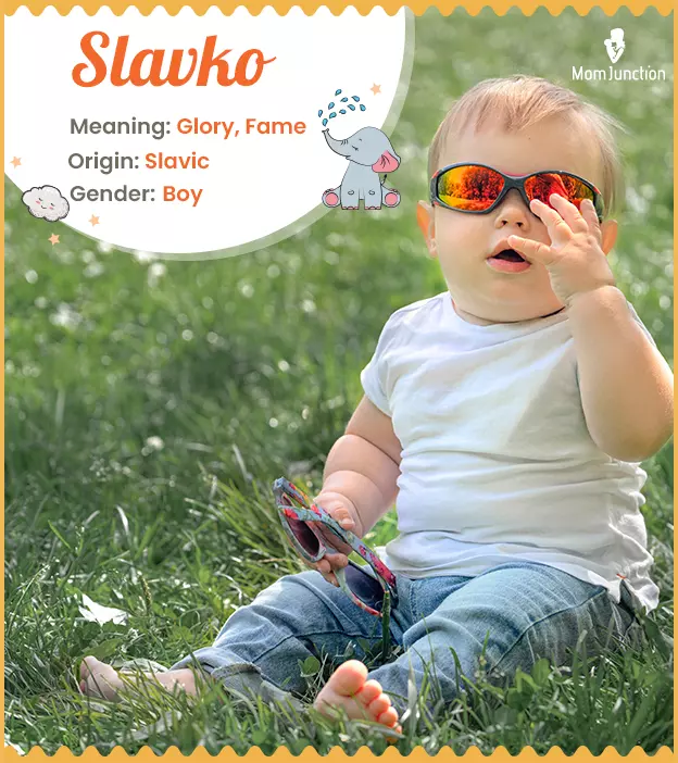 Slavko Name Meaning, Origin, History, And Popularity | MomJunction