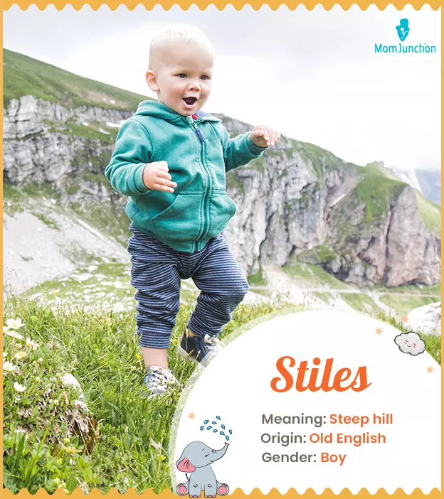 Stiles Name Meaning, Origin, History, And Popularity | MomJunction