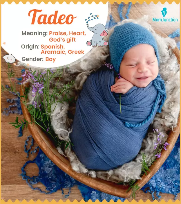 Tadeo Name Meaning, Origin, History, And Popularity | MomJunction