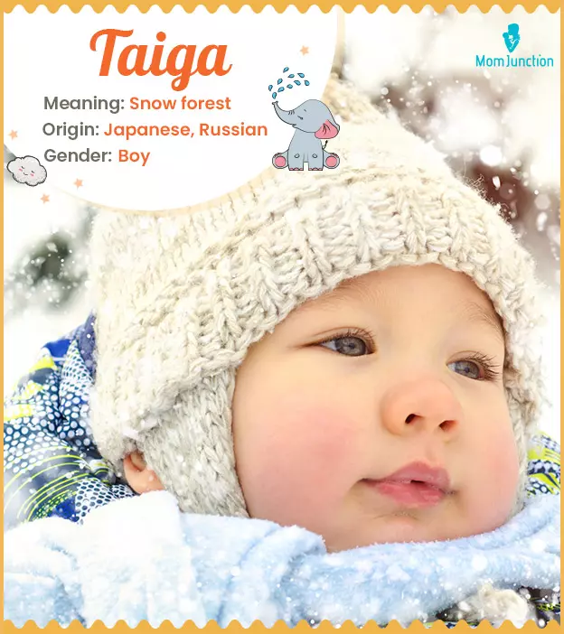 Taiga Name Meaning, Origin, History, And Popularity | MomJunction