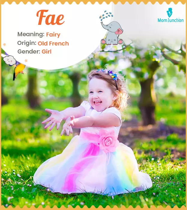Fae Meaning, Origin, History, And Popularity | MomJunction