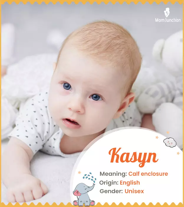 Kasyn Name Meaning, Origin, History, And Popularity | MomJunction