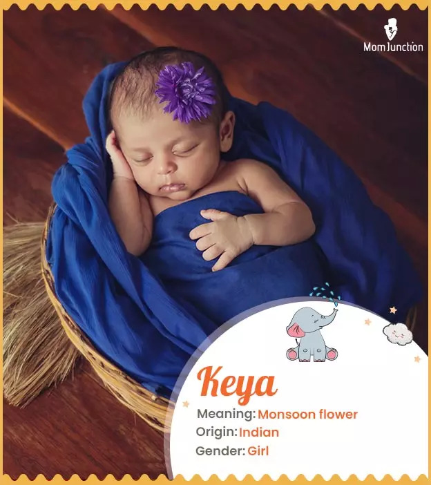 Keya Name Meaning, Origin, History, And Popularity