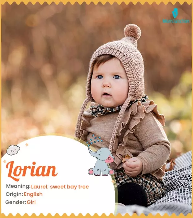 Lorian Name Meaning, Origin, History, And Popularity | MomJunction