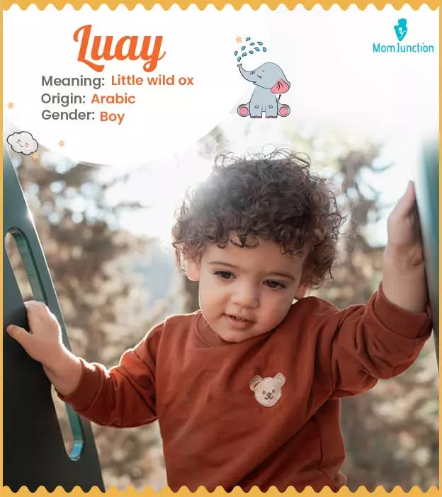 Luay Name Meaning, Origin, History, And Popularity | MomJunction