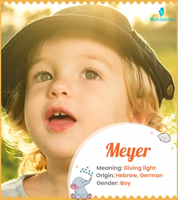 Meyer Name Meaning, Origin, History, And Popularity | MomJunction