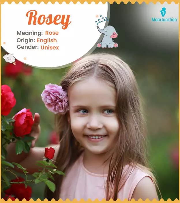 Rosey Name Meaning, Origin, History, And Popularity | MomJunction