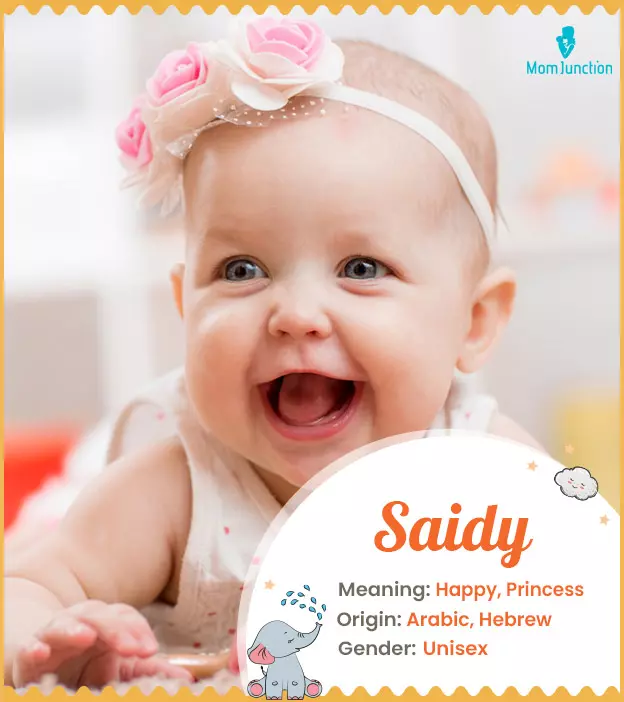 Saidy Name Meaning, Origin, History, And Popularity | MomJunction