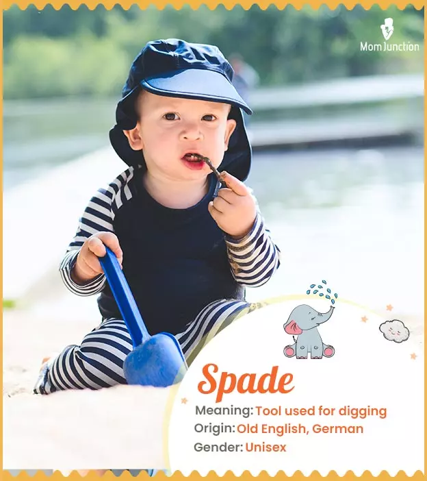 Spade Name, Meaning, Origin, History, And Popularity | MomJunction