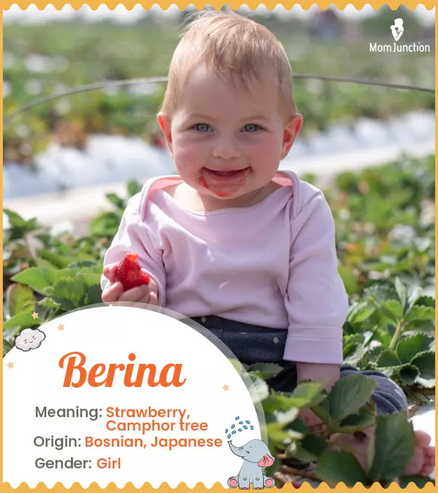 Berina Name Meaning, Origin, History, And Popularity | MomJunction