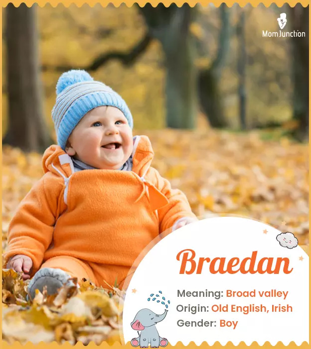 Braedan Name Meaning, Origin, History, And Popularity | MomJunction