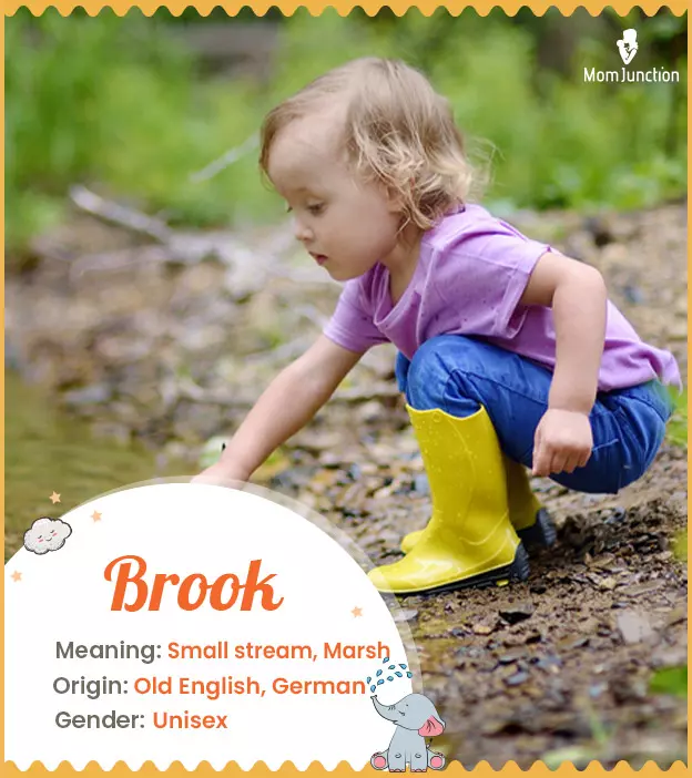 Brook Name Meaning, Origin, History, And Popularity | MomJunction