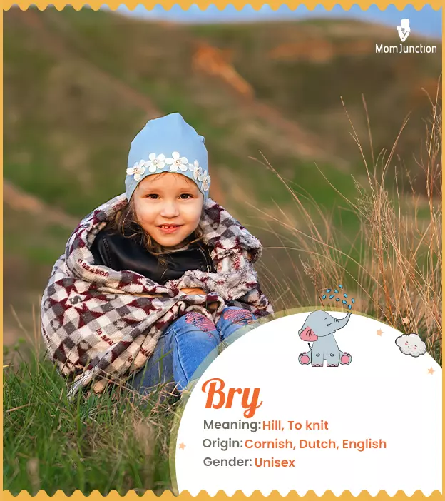 Bry Name Meaning, Origin, History, And Popularity | MomJunction