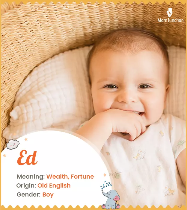 Ed Name Meaning, Origin, History, And Popularity | MomJunction