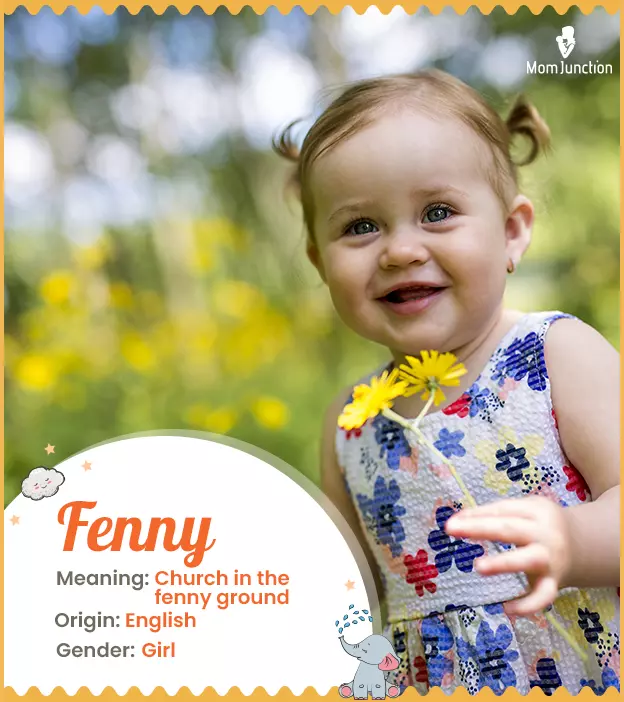 Fenny Name Meaning, Origin, History, And Popularity | MomJunction
