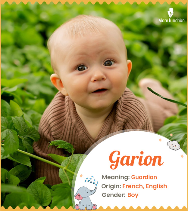 Garion Name Meaning, Origin, History, And Popularity | MomJunction