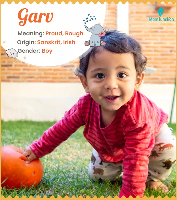 Garv Name Meaning, Origin, History, And Popularity | MomJunction
