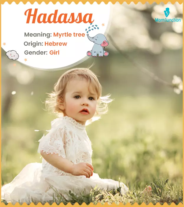 Hadassa Name Meaning Origin History And Popularity Momjunction