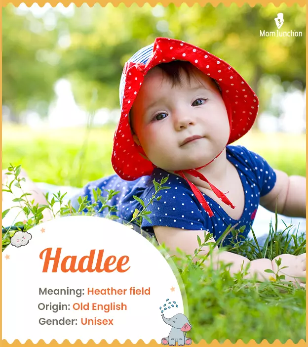 Hadlee Name Meaning, Origin, History, And Popularity | MomJunction