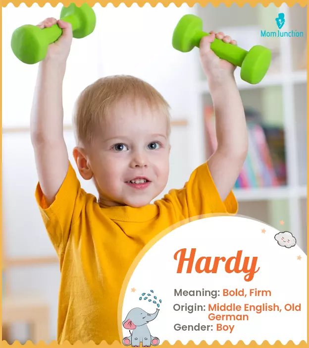 Hardy Name Meaning, Origin, History, And Popularity | MomJunction