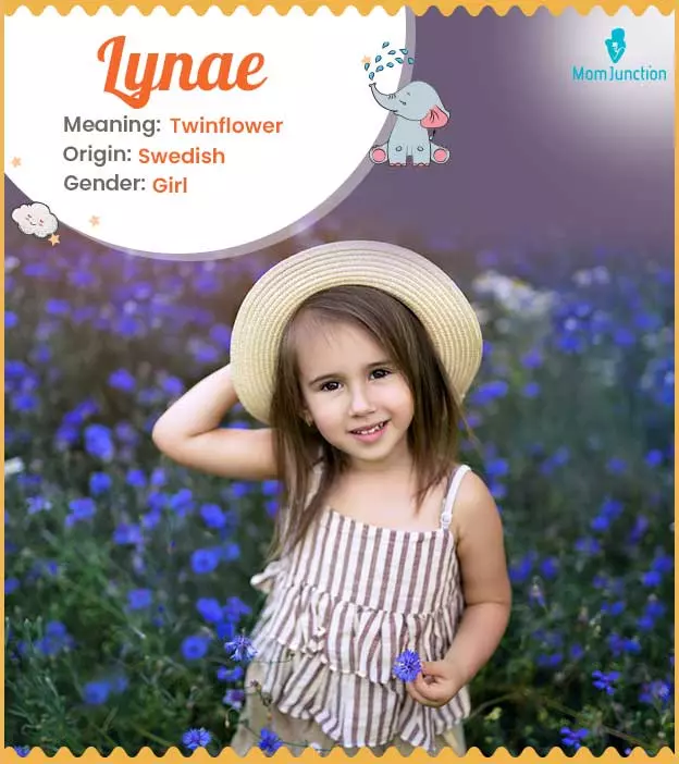 Lynae Name Meaning, Origin, History, And Popularity | MomJunction