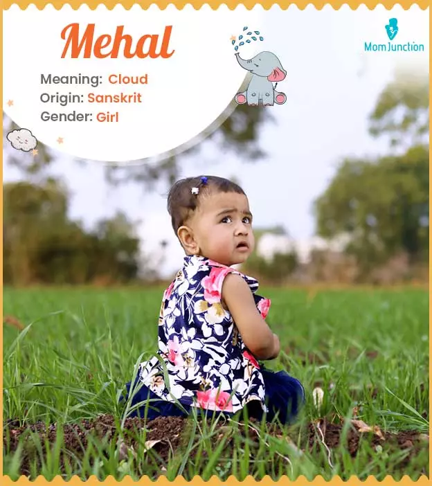 Mehal Name Meaning, Origin, History, And Popularity | MomJunction