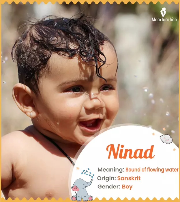Ninad Name Meaning, Origin, History, And Popularity | MomJunction