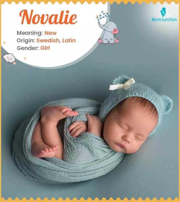 Novalie Name Meaning, Origin, History, And Popularity | MomJunction