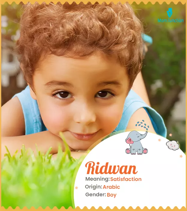 Ridwan Name Meaning, Origin, History, And Popularity | MomJunction