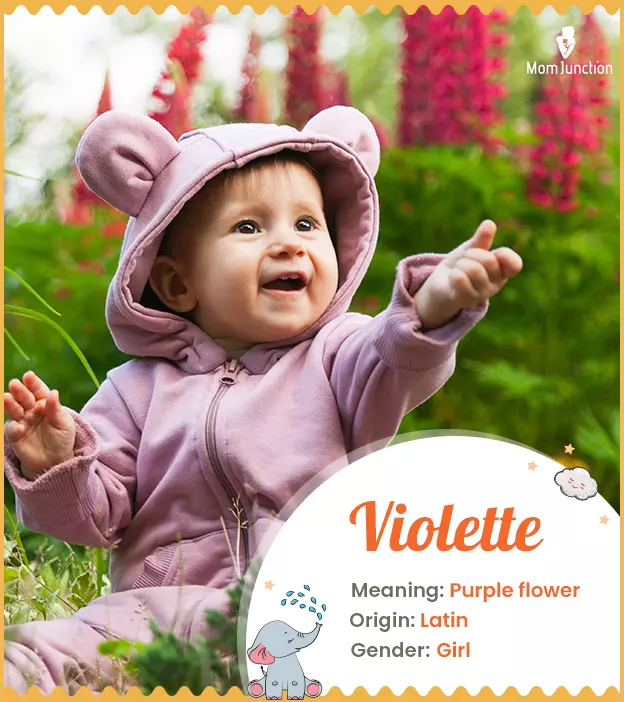 Violette Name Meaning, Origin, History, And Popularity | MomJunction