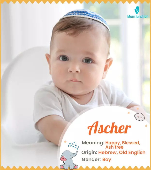 Ascher Name Meaning, Origin, History, And Popularity | MomJunction
