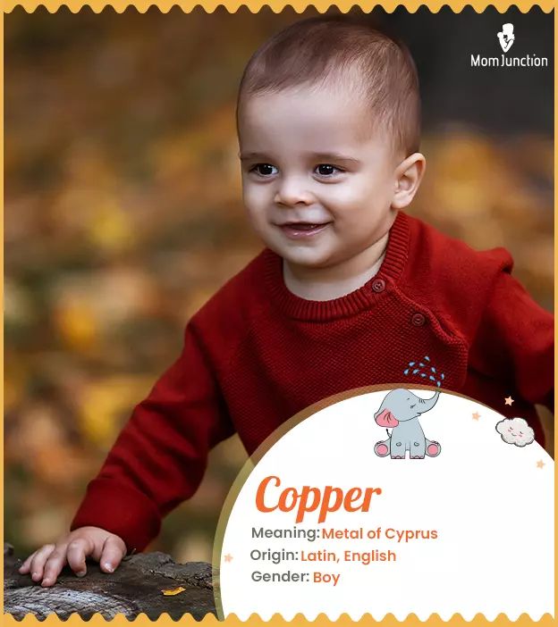 Copper Name Meaning, Origin, History, And Popularity | MomJunction