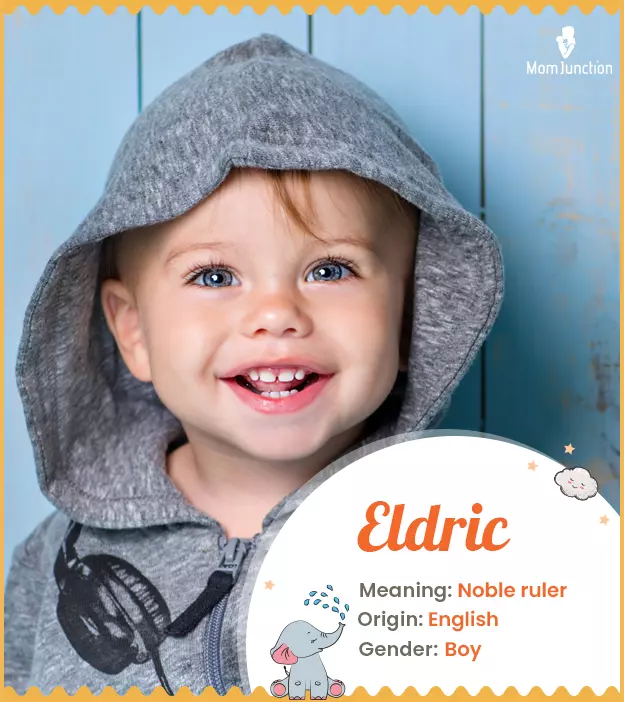 Eldric Name Meaning, Origin, History, And Popularity | MomJunction