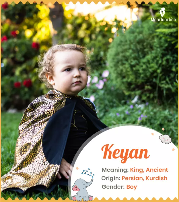Keyan Name Meaning, Origin, History, And Popularity | MomJunction