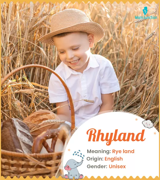 Rhyland Name Meaning, Origin, History, And Popularity | MomJunction