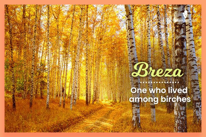 200+ Popular Czech Last Names, With Meanings | MomJunction